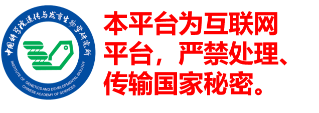 IGDB内网